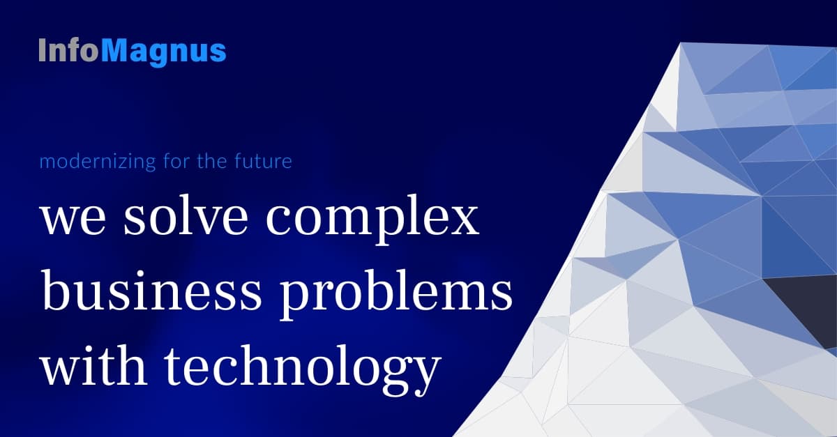 InfoMagnus | Business Technology Consulting
